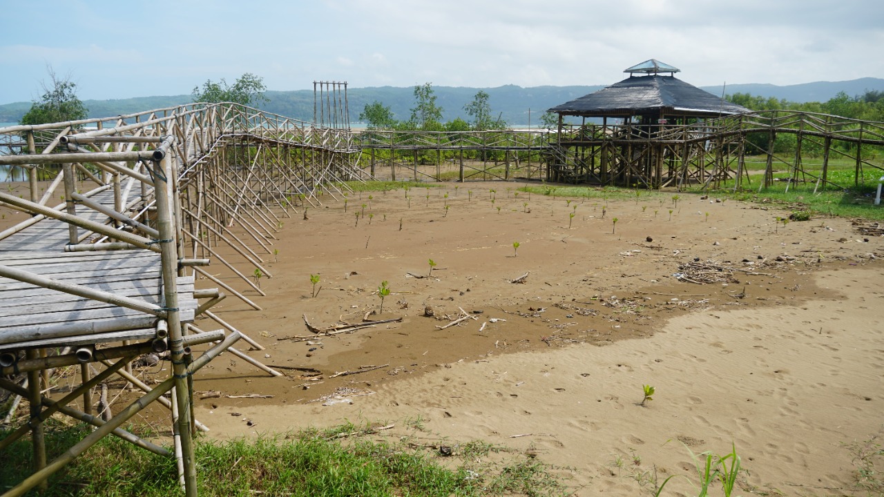 Ancaman Abrasi di Kabupaten Pacitan
